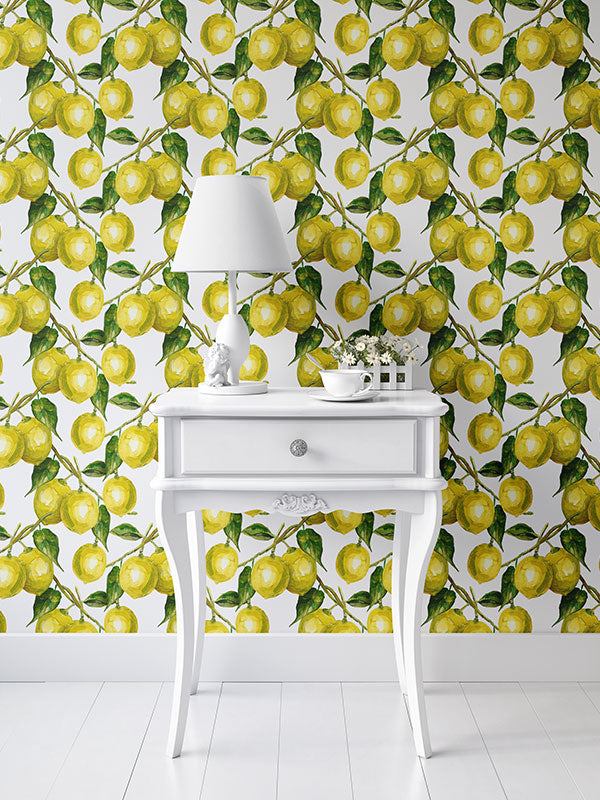 Lemon Wallpaper - Murals Decor