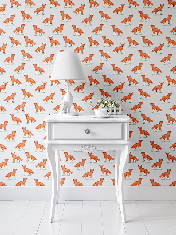 Orange Fox Wallpaper - Murals Decor